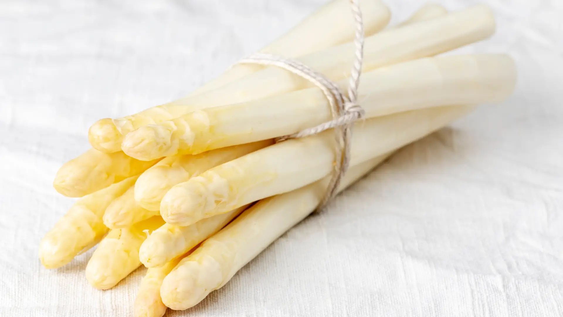 Hefra Asperge (NL) - Ammerlaan Construction